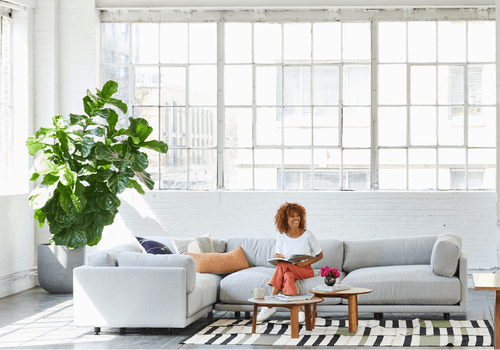 Buildify: #1 Pre-construction Database API for Realtors